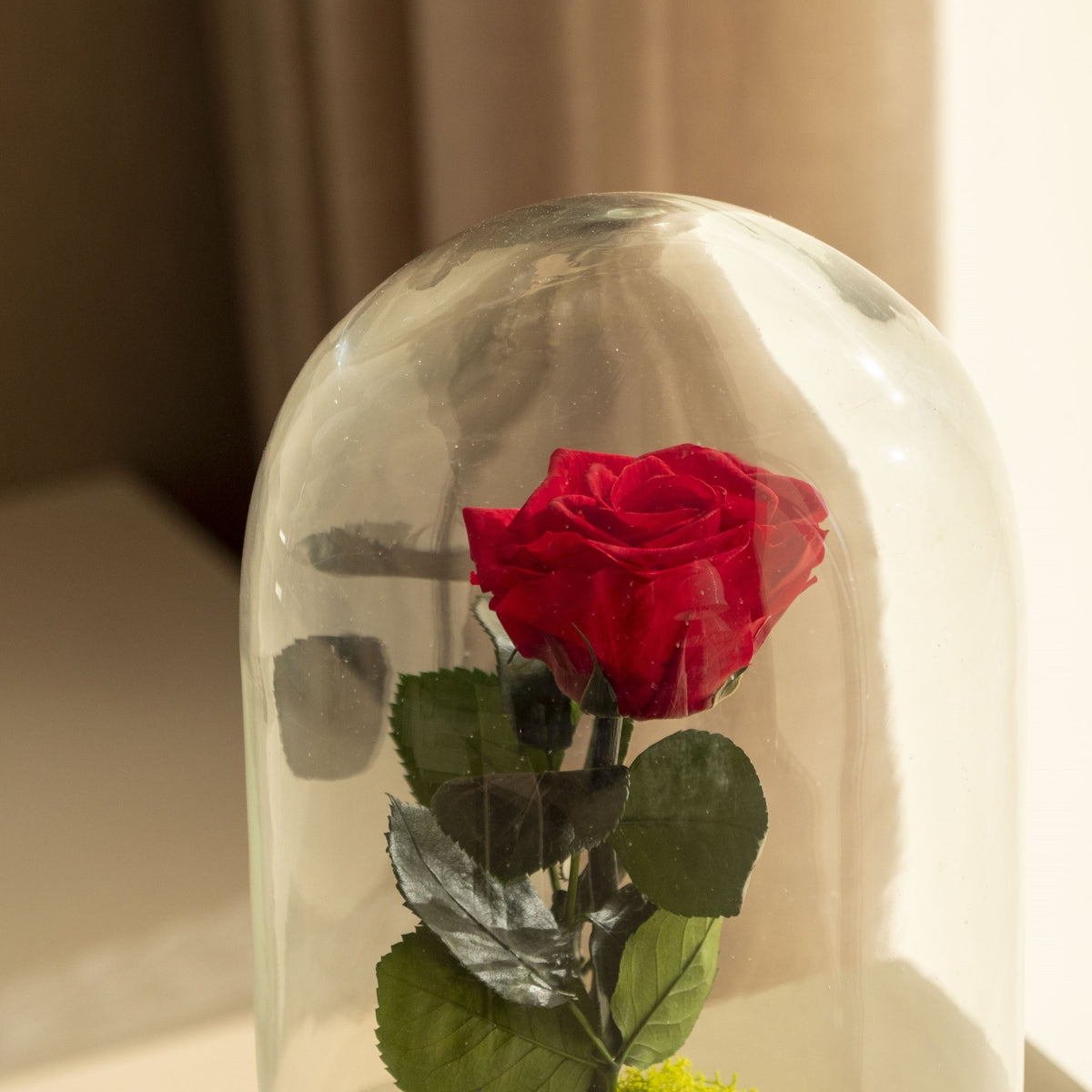 Everlasting Roses: Immortal Beauty in a Gift – Omotesandō Plants