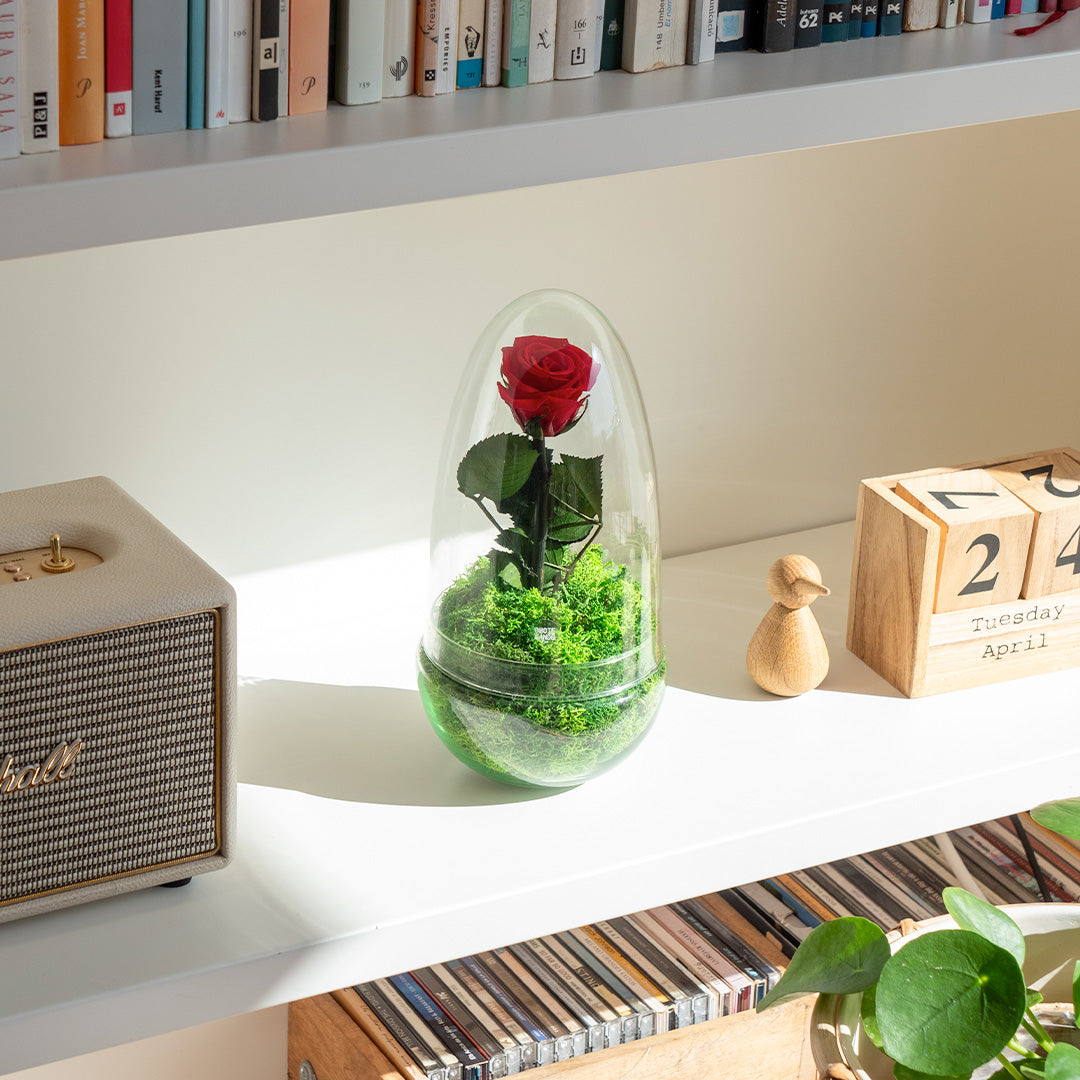 Natura Rose - Rosas naturales liofilizadas | Omotesandō Plants