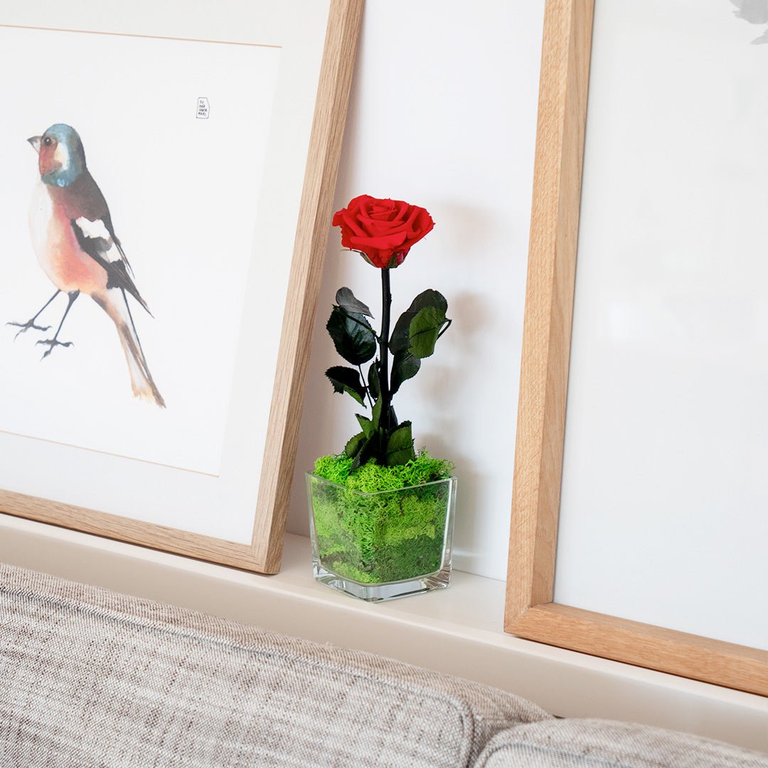 Crystal Rose - Freeze-dried Roses | Omotesandō Plants