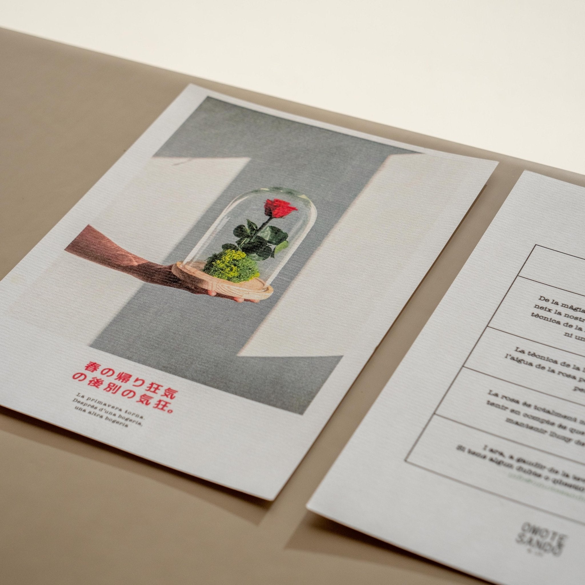 Natura Rose - Rosas naturales liofilizadas | Omotesandō Plants