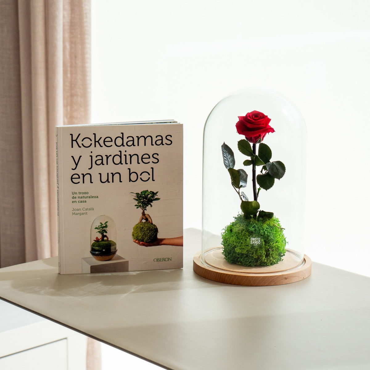 Garden Rose Pack and book - Sant Jordi | Omotesandō Plants