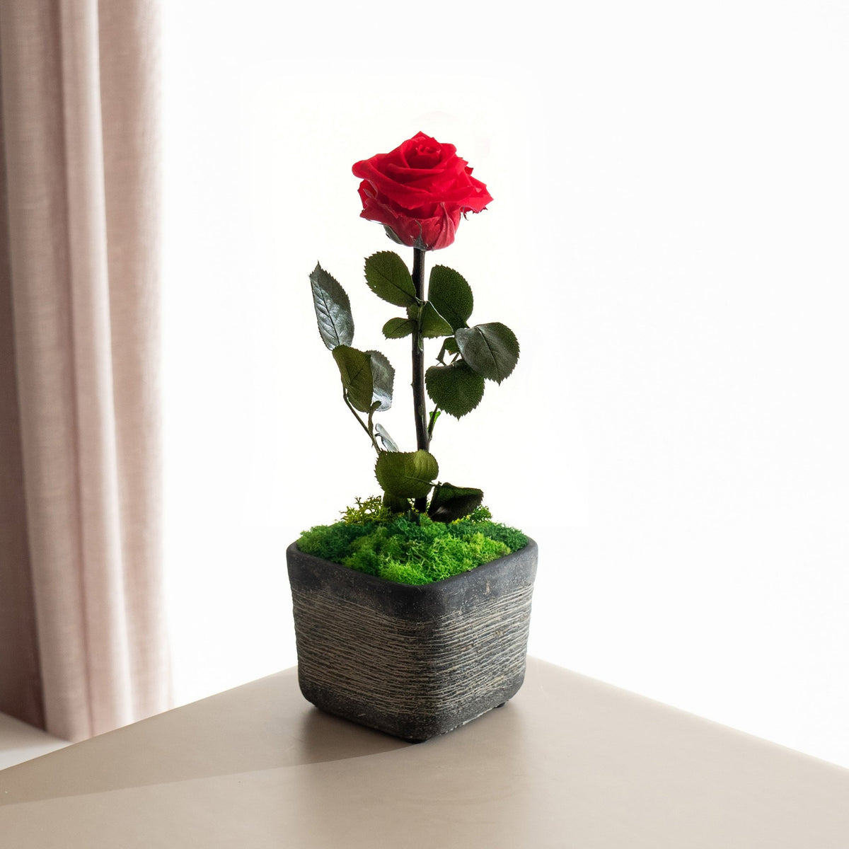 Rose - Eternal Roses | Omotesandō Plants