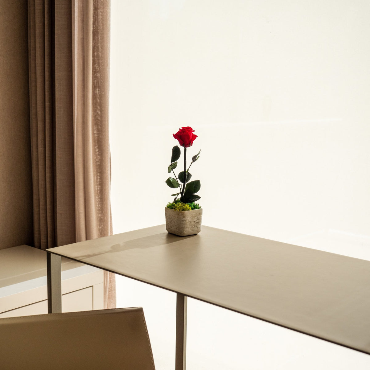 Rose - Freeze-dried natural flower | Omotesandō Plants